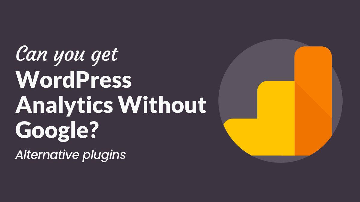 Can You Get WordPress Analytics Without Using Google?