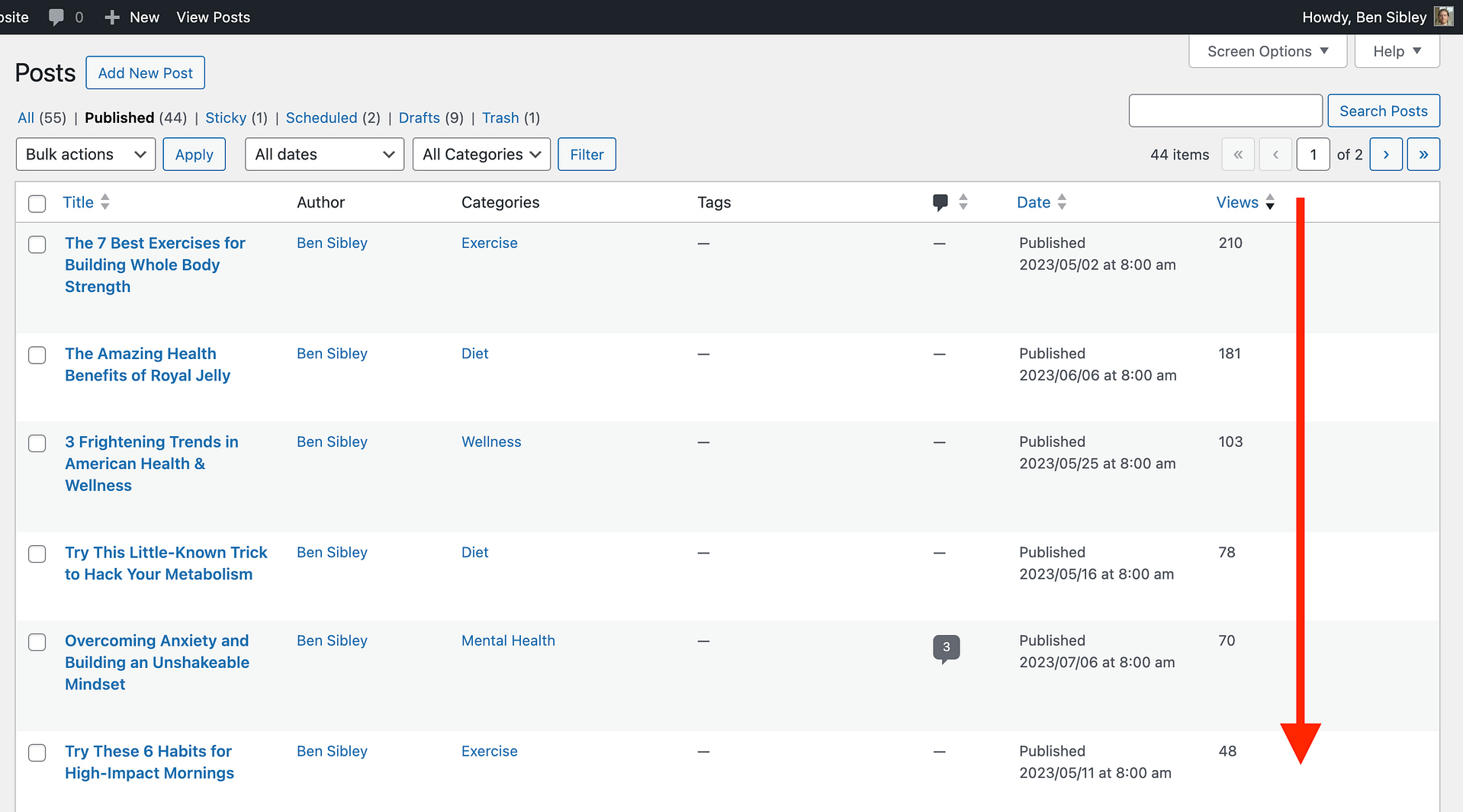 Find View Counts in the Posts Menu (Or Hide Them) - Independent Analytics