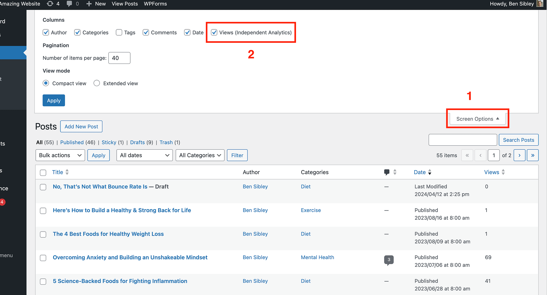 Find View Counts in the Posts Menu (Or Hide Them) - Independent Analytics