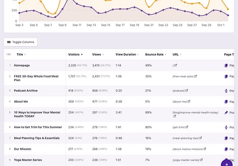 How to Use the Pages Report - Independent Analytics